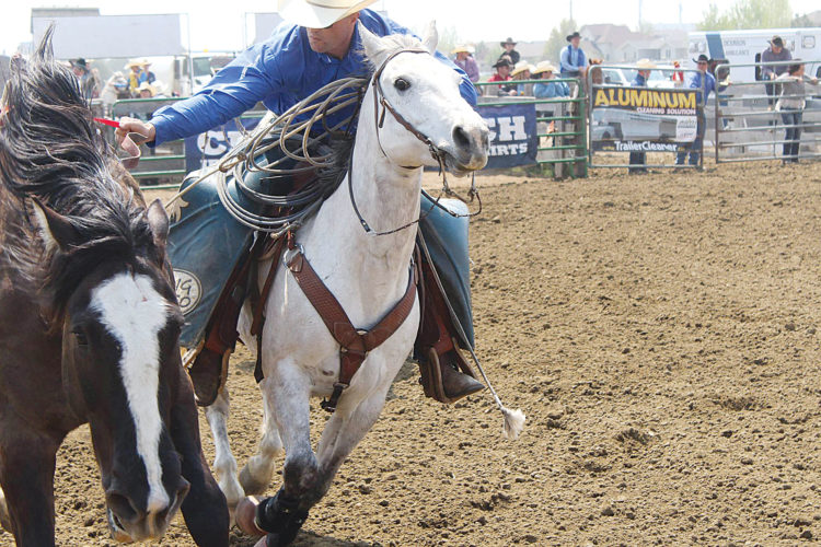 Berthold man picked to pick-up | News, Sports, Jobs - Minot Daily News